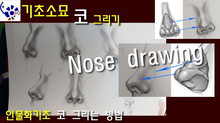 코 그리기 인물화 기초소묘 코 드로잉 코 그리는 방법 연필 소묘 여러 형태 사람 코 쉽게 그리기 ﻿nose Drawing